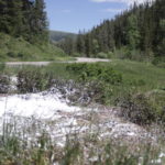 Gap Fire expected to be contained by Friday evening - East Idaho News