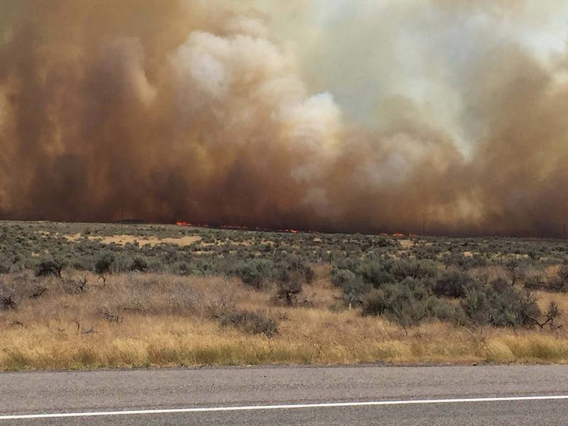 6 buildings burn, 5 homes threatened by Powerline fire near American ...