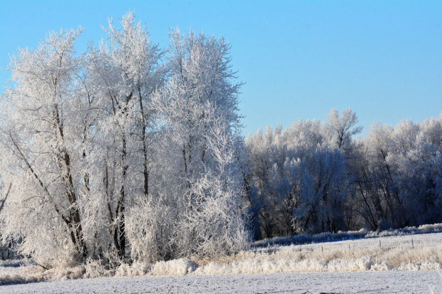 Hard freeze, frost advisory issued for parts of eastern Idaho - East ...
