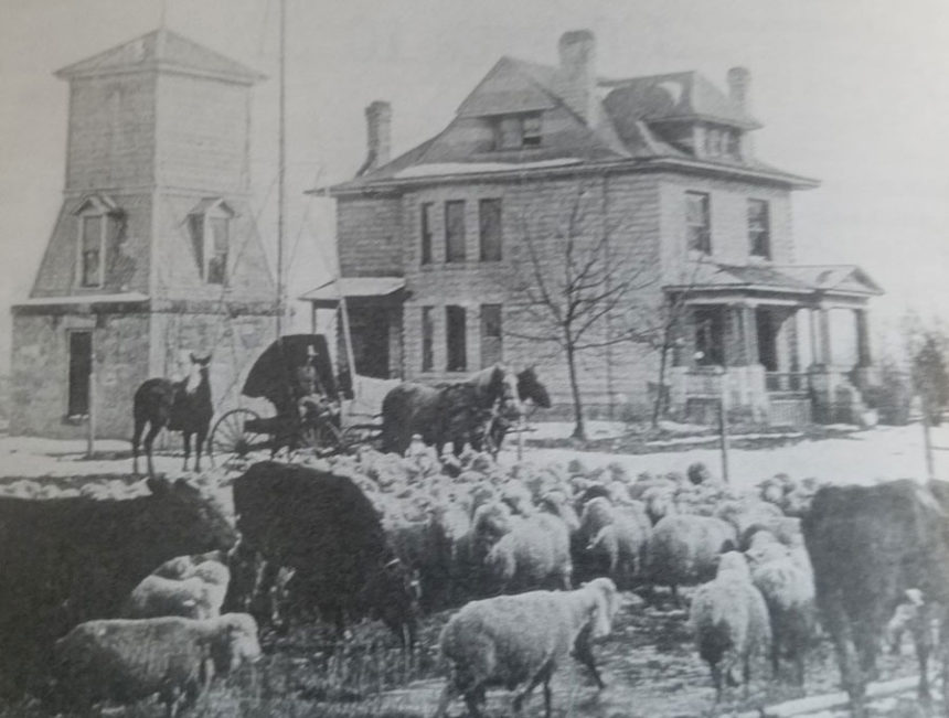 Photo Gallery: Ammon - East Idaho News