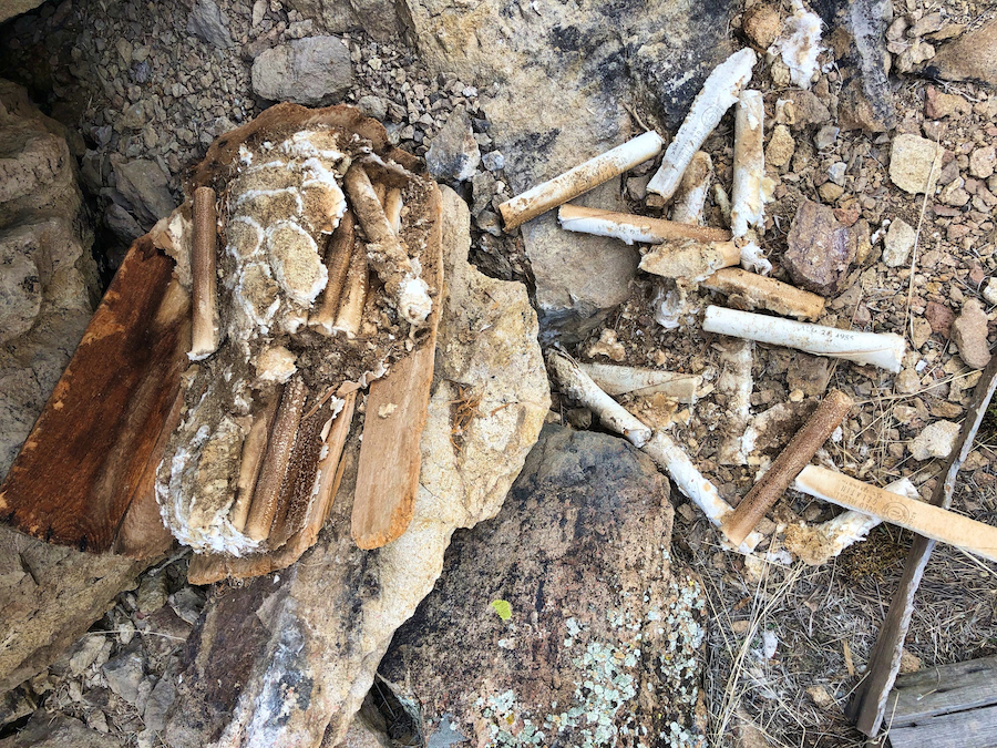 65-year-old dynamite found on BLM land near Salmon - East Idaho News