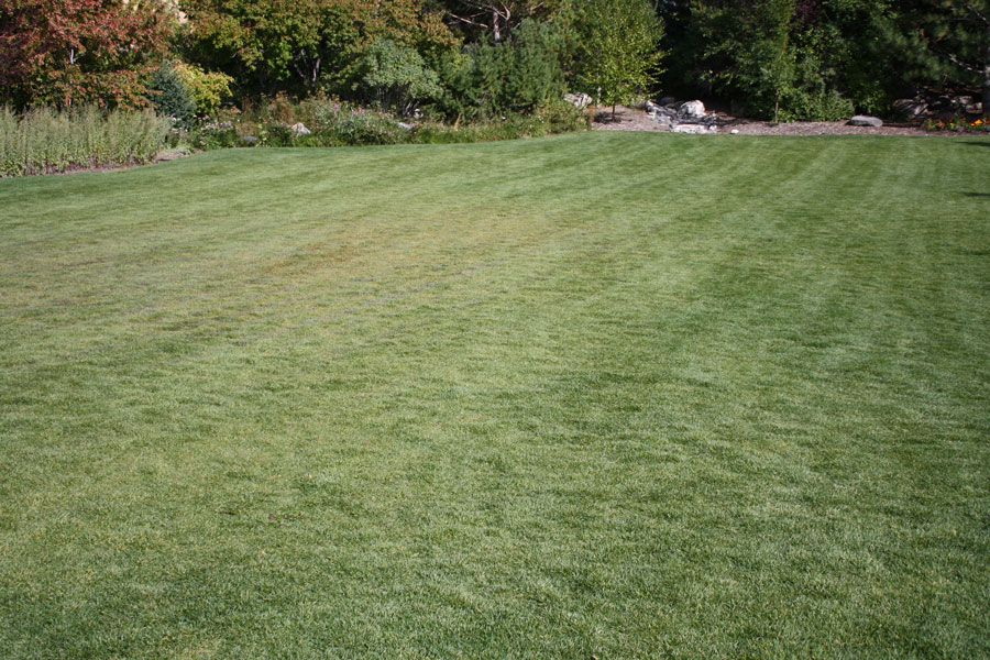 The secret to mowing a perfect lawn - East Idaho News