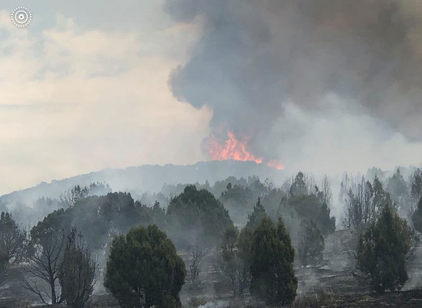 UPDATE: Crews battling 100-acre wildfire in Pocatello - East Idaho News